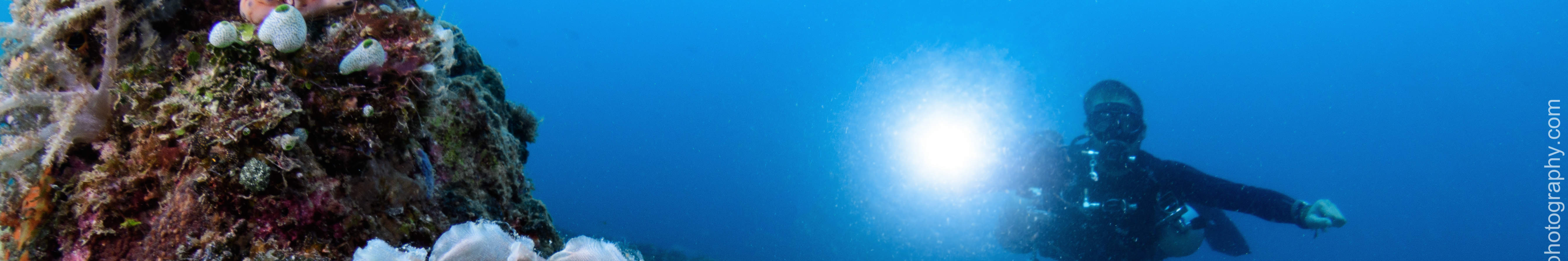 龍目島 Padi 開放水域潛水員 Padi 5 星級 Cdc Klook 客路